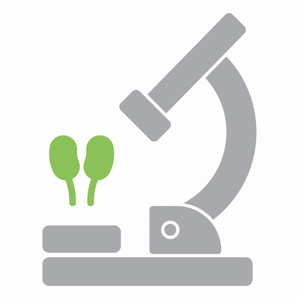 Home - Preventative Health Proactive Healthcare Services